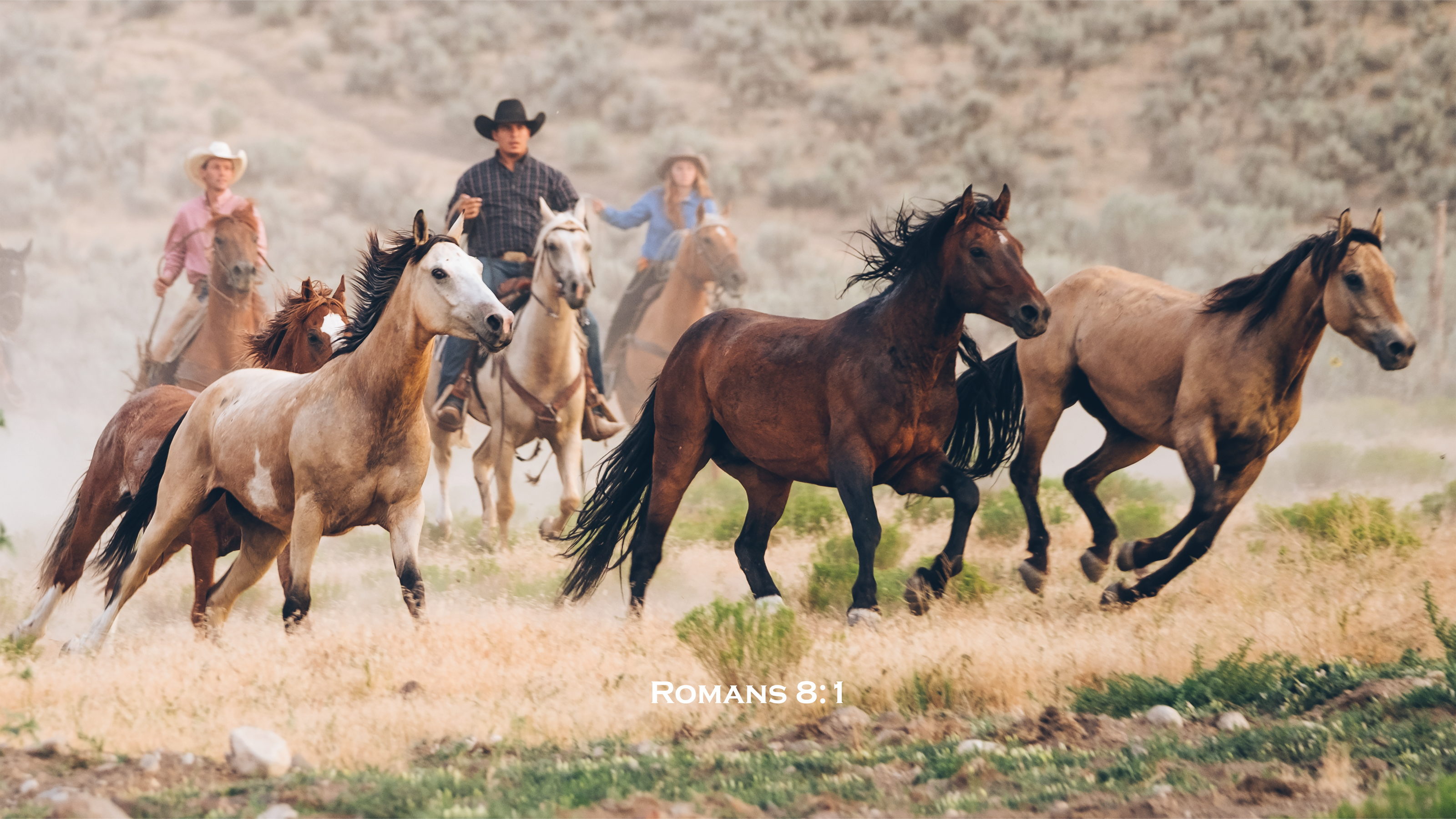 Cowboy Shirts & Western Wear | Shop Shirts, Denim & Apparel