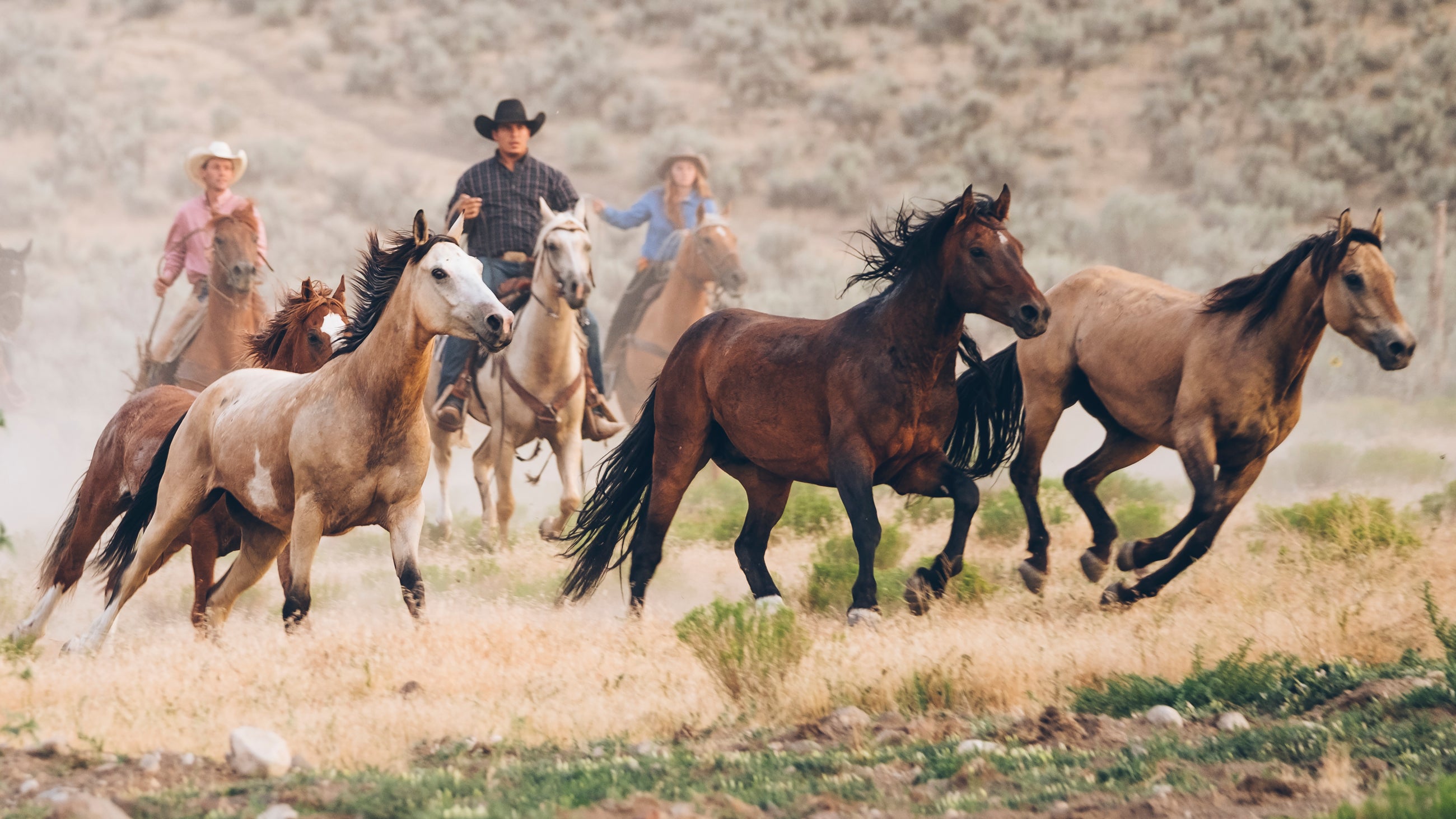 Drover Cowboy Threads - Extreme Quality Western Wear